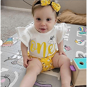 GRNSHTS Baby Girl One Birthday Outfits Honey Bee Ruffle Sleeve Romper+Bumble Bee Shorts+Headband 3Pcs Summer Clothes 12-18 Months