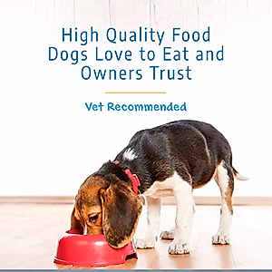 Canine Caviar Open Meadow Dog Food – Limited Ingredient Alkaline Holistic Dog Food – All Life Stages – Gluten Free, Ultra-Premium Dog Food – Healthy Skin & Coat – Lamb & Pearl Millet – 22 lbs