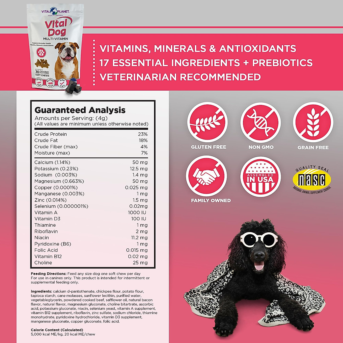 Vital Planet - Vital Dog Multivitamin for Everyday Health with Vitamins, Minerals and Antioxidants - 30 Bacon Flavored Soft Chews