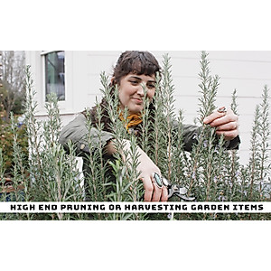 Skyhaven Harvest Bypass Pruning Shears 8 Inch Japanese-style Forged Carbon Steel Garden Scissors, Gardening Tools Hand Pruner with Ergonomic Handle.