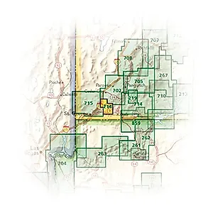 Zion National Park Map (National Geographic Trails Illustrated Map, 214)