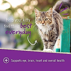 Pet Naturals Daily Multivitamin for Cats with Biotin, Taurine and Arginine, 30 Fish Flavored Chews