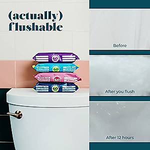 Goodwipes Flushable & Plant-Based Wipes with Botanicals | Dispenser for At-Home Use | Variety Pack with Aloe Septic and Sewer Safe | 240 count (4 packs) - Biggest Adult Wipes