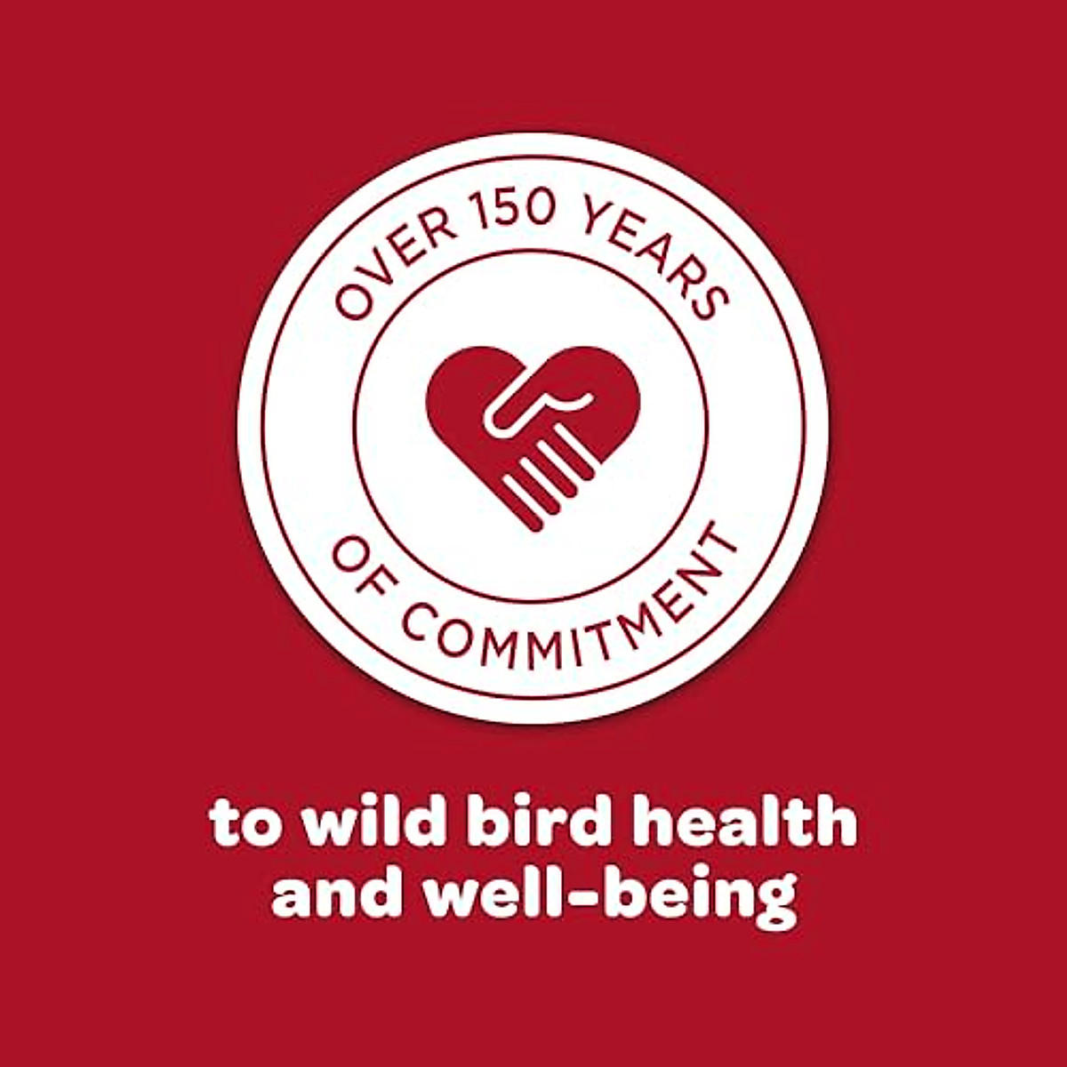 Kaytee Wild Bird Seed & Mealworm Seed Cake Food For Bluebirds, Chickadees, Woodpeckers and More, 1.4 Pound