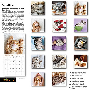 2025 Wall Calendar,Calendar 2025, January 2025 - December 2025, Wall Calendar Baby Kitten, 12" x 24" Opened,Full Page Months Thick & Sturdy Paper for Calendar Organizing & Planning
