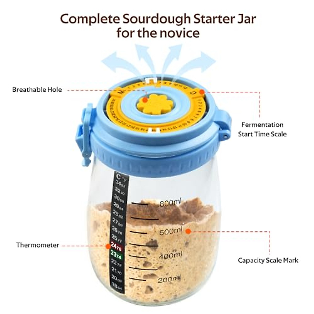 JAOBHAHY Banneton Bread Proofing Basket Set, Bread Making Tools Includes 10" oval & 9" Round Proofing Basket & 34 oz Sourdough Starter Jar for A Complete Sourdough Bread Baking Supplies