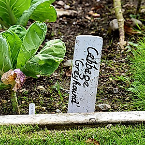 Mr. Pen- Garden Markers, Black, 4 Pack, Plant Markers, Garden Markers for Plants Outdoor Waterproof, Plant Markers for Seedlings, Waterproof Permanent Marker, Plant Markers for Outdoor Plants.