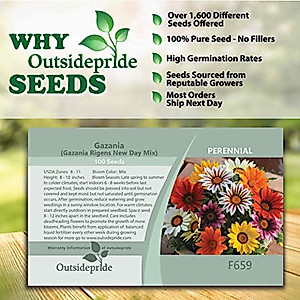 Outsidepride Gazania New Day Mix Heat & Drought Tolerant Garden Flower & Ground Cover Plants - 25 Seeds