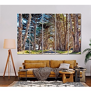 Tree Tunnel at California USA Canvas Print 3 Panels / 36x24 inches