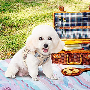 EXPAWLORER Classic Plaid Puppy Harness - Small Dog Collar and Leash - Soft Mesh Padded Adjustable Small Dog Vest Harness No Pull, Reflective Escape Proof for Outdoor Walking