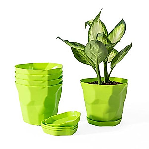 HBSGS Plant Pots Plastic Flower Pots Set with Drainage Holes and Saucers Planter for Indoor Plants Outdoor Plants and Flowers, Colorful