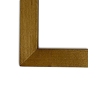 Ambesonne Loon Framed Wall Art, Waterbird Swimming in a Lake in Spring Outdoor Scene, Fabric Poster with Walnut Tone Wood Frame Home Dorm Decor, 23" x 35", Green Dark Grey