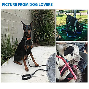 ladoogo 2 Pack 5 FT Heavy Duty Dog Leash with Comfortable Padded Handle Reflective Dog leashes for Medium Large Dogs