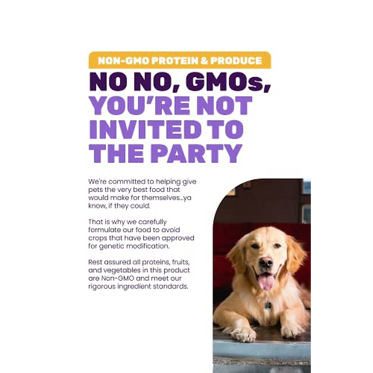 "I and love and you" Top That Tummy Wet Dog Food Pouch, Chicken Recipe In Gravy, 3 oz (Pack of 12)