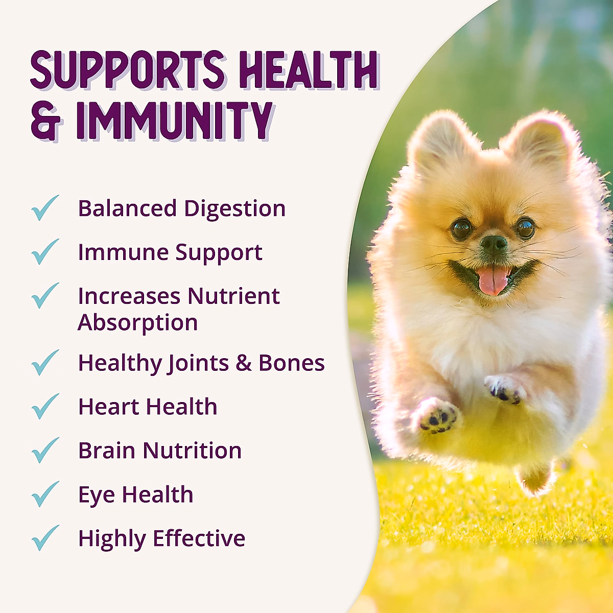 Health Extension Dog Health and Nutrition Bundle - Multivitamin (30 Tablets), Little Bites Dry Dog Food Chicken & Brown Rice Recipe (4 Lbs), Joint & Hip Supplement Cheese Flavored Powder (16oz)