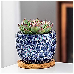Segreto Succulent Plant Pots Marbling Pattern Flower Pots Ceramic Planter for Cactus Plants Container Bonsai Pots with Bamboo Tray and Drainage Hole for Home Decor,Set of 2