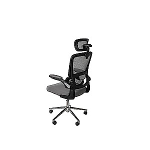 Mesh Ergonomic Office Chair with Flip Up Arms High Back Desk Chair -High Adjustable Headrest with Flip-Up Arms, Tilt Function, Lumbar Support Swivel Computer Chair Task Chair,Executive Chair, Gray