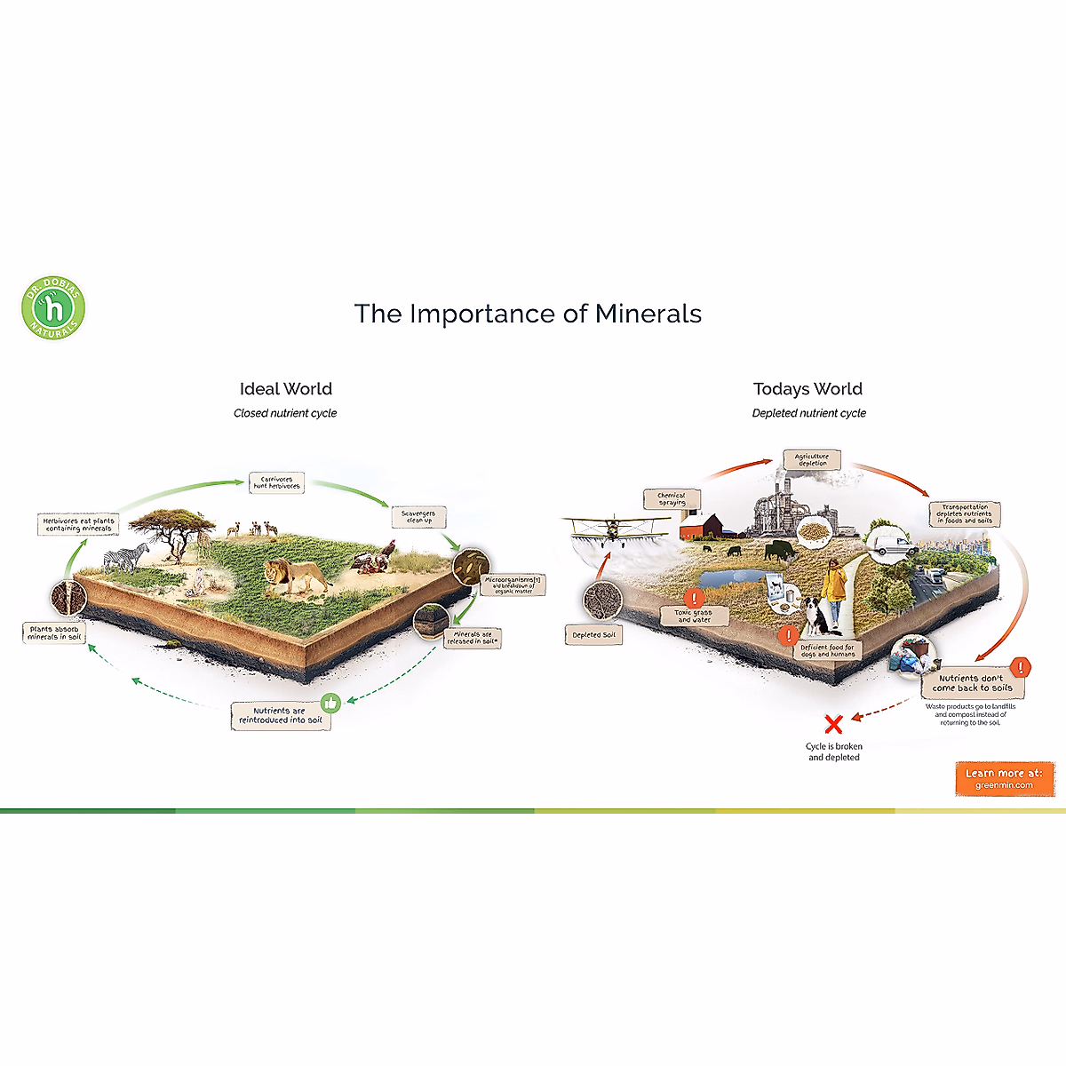 DR. DOBIAS GreenMin for Dogs - All Natural Mineral and Amino-Acid Rich superfood, up to 5 Months Supply