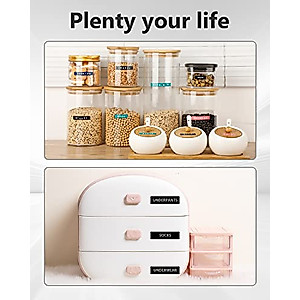 Zodzi Embossing Label Maker Machine with Tapes, Embosser Handheld Label Machine, Vintage Label Maker Embossed Labeler with 3 Rolls Emboss Tapes for Home DIY Crafting - Black