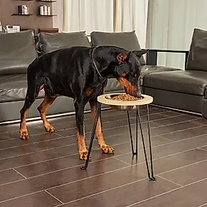 Yangbaga Elevated Dog Bowl for Large Dogs,16.3in High Extra Large Dog Bowl Stand,Comes with a Stainless Steel Bowl with Capacity of 2L Water or 2.2LBs of Dog Food