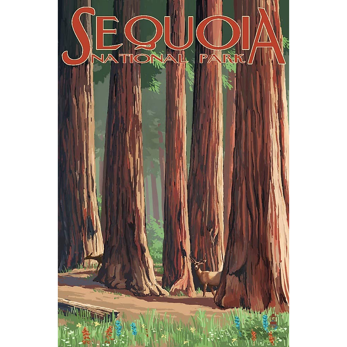 Lantern Press Sequoia National Park, Forest Grove in Spring (12x18 Art Print, Travel Poster Wall Decor)