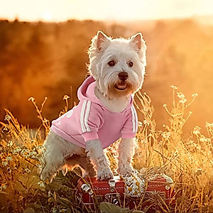 Otunrues Dog Sweater, Classic Dog Clothes Soft Warm Hoodies Sweatshirt Pet Dog Winter Clothes Small Medium Sweaters for Dogs Cats (Pink, L)