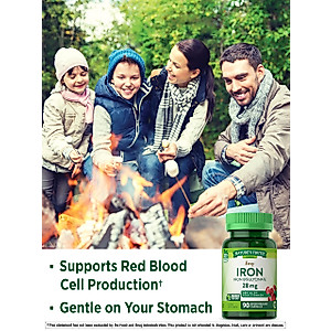 Easy Iron Supplement 28 mg | 90 Capsules | Iron Bisglycinate | Non-GMO, Gluten Free | by Nature's Truth