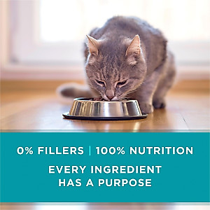 Purina ONE Grain Free, Natural Pate Wet Cat Food Variety Pack, Beef, Chicken and Ocean Whitefish Recipes - (2 Packs of 12) 3 oz. Pull-Top Cans