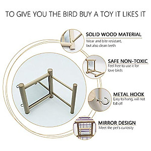 PIVBY Bird Mirrors Lovebird Toys Perches for Bird cages Interactive Hanging Play Toy for Parrot Macaw African Greys Budgies Cockatoo Parakeet Cockatiels Conure Lovebird