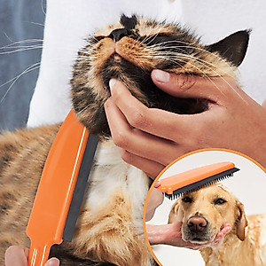 LandHope Carpet Rake for Pet Hair Remover Long Handle with Squeegee, Rubber Broom Carpet Brush Non Scratch Bristles Fur Remover Indoor Outdoor Push Broom for Cat Dog Hair Hardwood Tile Windows Clean