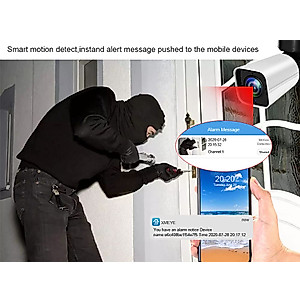 Seculink 8-Channel 5MP Lite 5-in-1 AHD Digital Video Recorder H.265+ Super HD DVR Motion Detection Cloud P2P Remote Access