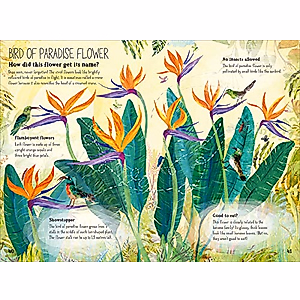 The Big Book of Blooms (The Big Book Series)