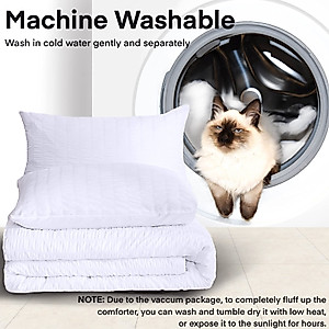 AveLom Seersucker Queen Comforter Set (90x90 inches), 3 Pieces - 100% Soft Washed Microfiber Lightweight Comforter with 2 Pillowcases, All Season Down Alternative Comforter Set for Bedding, White