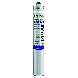 Everpure EV961821