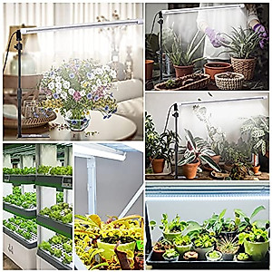 JCBritw Desktop LED Grow Light Bar T8 2ft Plant Growing Lamp on Stand for Indoor Plants White Full Spectrum Adjustable Tabletop Plant Light for Seed Starting, Seedlings, Veg, Flower