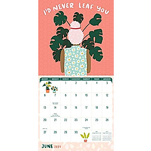 Crazy Plant Lady Mini Wall Calendar 2021