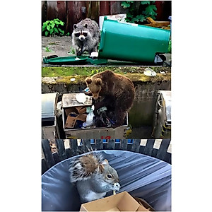 PIYAU Stainless Steel Rope+ PVC Trash Can Lid Locks (2), Garbage Trash Can Locks for Bear Animals Proof, Prevent Being Blown Over by The Wind