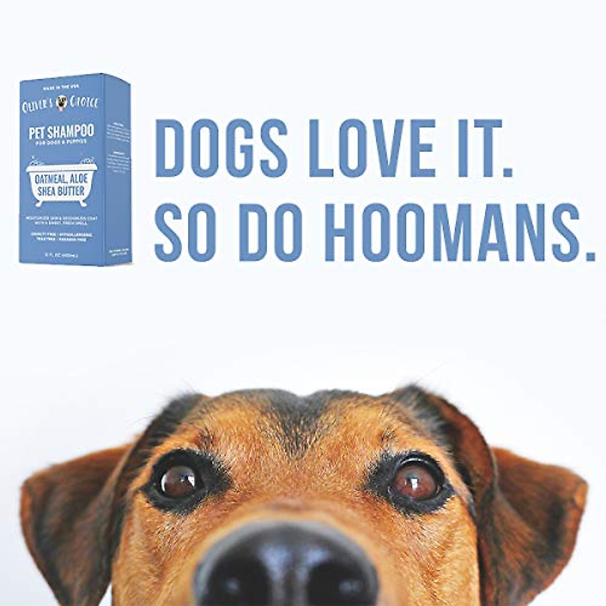 Dog Shampoo with Oatmeal and Aloe. Shea Butter for Smelly Dogs, Puppy Shampoo by Oliver's Choice 14 oz