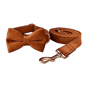 Velvet Dog Collar Personalized with Name Phone Number Engraved, Custom Pet Collars with Metal Buckle(Camel, S)