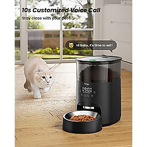 Petiigo Automatic Cat Feeder, 4L Timed BPA Free Cat Feeder Clog-Free Design for Pet Dry Food with Stainless Steel Bowl, Twist Lock Lid&Voice Recorder, Programmable Control 1-5 Meals Day for Cats/Dogs