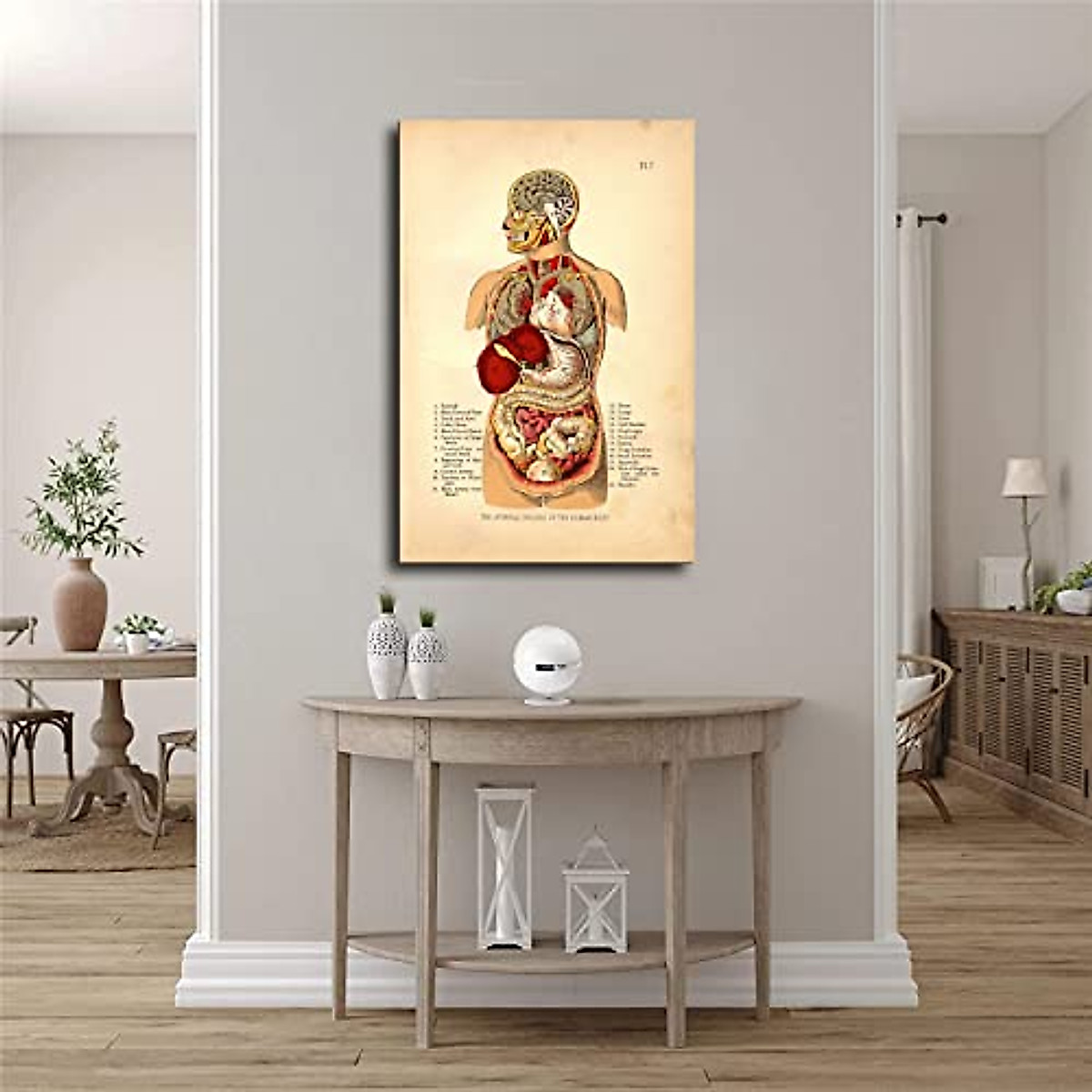 Internal Organs of The Human Body from The Household Physician 1905 Poster Canvas Print Wall Art Modern Bedroom Room Aesthetics Decoration Boys Women Gift (08x12inch-No Framed)
