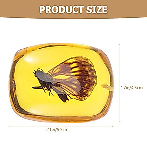 DECHOUS Charm Bracelet Amber Specimen 5pcs Baltic Amber Pendant Amber Specimen Resin Crafts Collection for Jewelry Making Necklace Bracelets Home Decorations Charm Bracelet