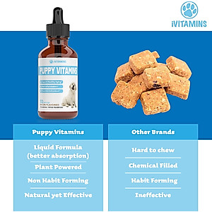 Puppy Vitamins | Puppy Supplements | Puppy Vitamins for Small Dogs | Puppy Vitamins Large Breed | Puppy Multivitamin | Puppy Vitamins and Supplements | Liquid Puppy Vitamins | 1 fl oz: Bacon Flavor