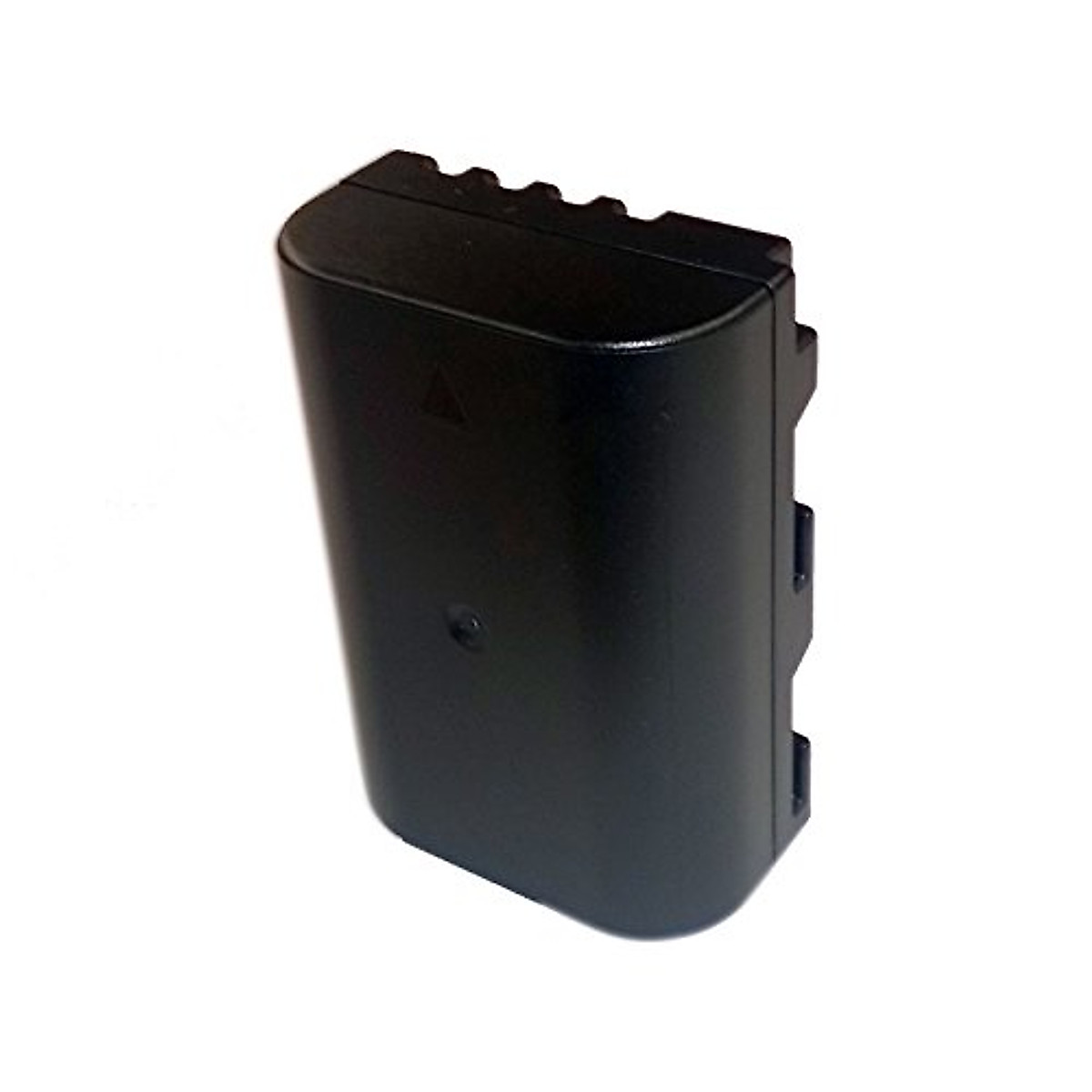 Panasonic DMW-BLF19 Lithium-Ion Battery Pack (Black)