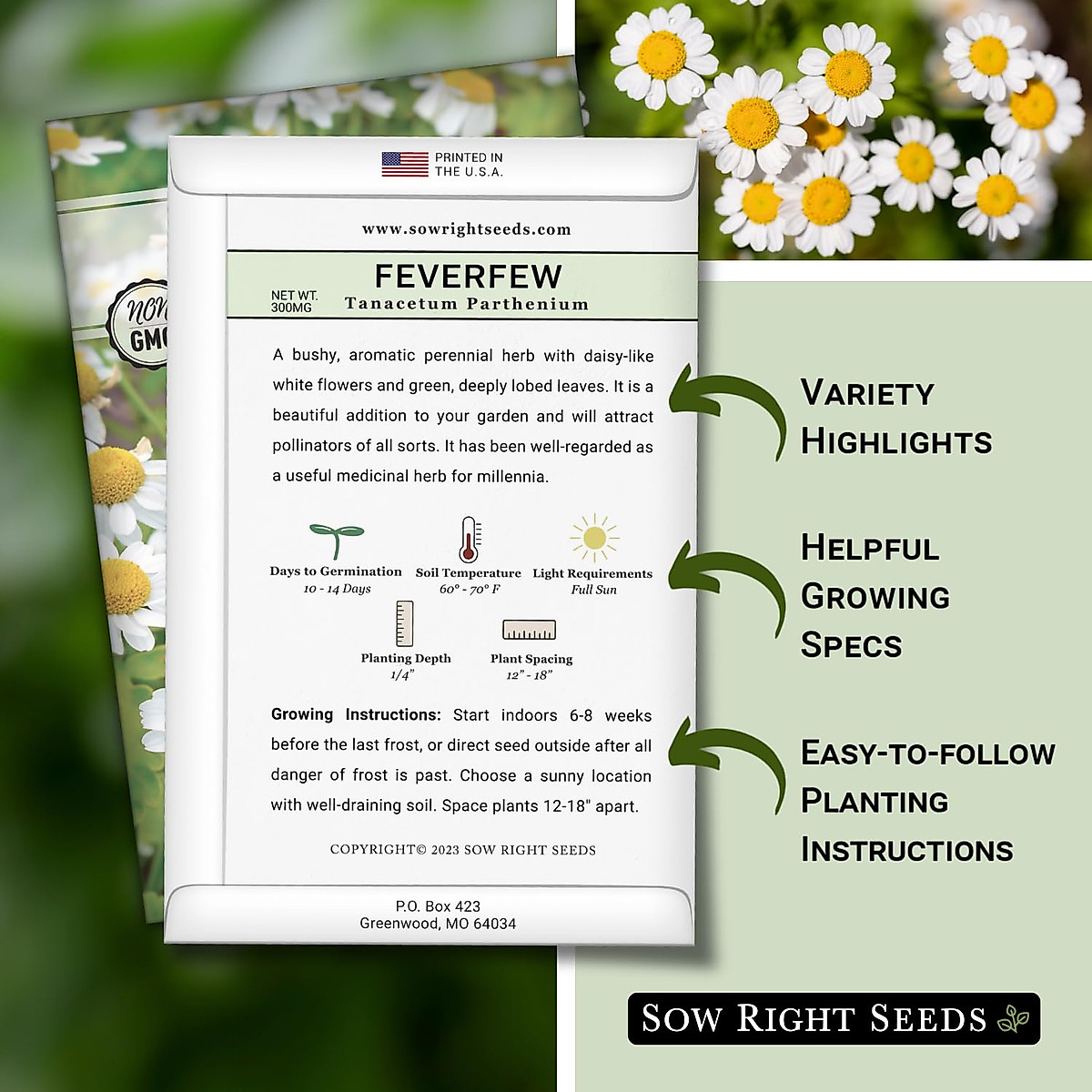 Sow Right Seeds - Feverfew Seeds for Planting - Non-GMO Heirloom Packet with Instructions to Plant an Outdoor or Indoor Herb Garden - Traditional Medicinal Herb, Make Tea & Extract for Migraines (1)