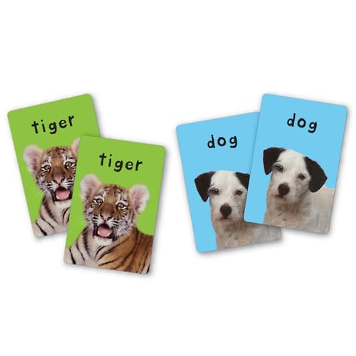 Briarpatch | First 100 Animals Matching Card Game, Ages 2+