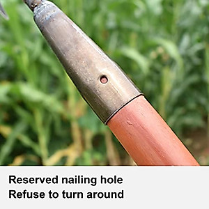 Geraffely Dethatcher Rake - Metal Hand Rakes for Gardening, Weeding,Garden Yard Lawn Heavy Duty Carbon Steel Rake, Cultivator Garden Tool Dethatcher Rake