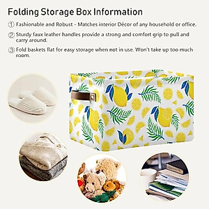 Lemons Leaves Storage Basket Bins Decorative Toy Organizer Bins Laundry Hamper Baskets with Handles for Pet Books Clothes Makeup Nursery Closet Office,2 pcs