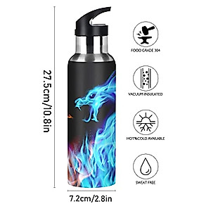 Qilmy 3D Printing Dragon Water Bottle Vacuum Insulated Stainless Steel Water Bottles with Straw Lid Leakproof Wide Mouth Water Flask for Fitness Outdoor Sports, 22 oz…