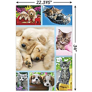 Trends International Keith Kimberlin - Puppies and Kittens Collage Wall Poster, 22.375" x 34", Unframed Version